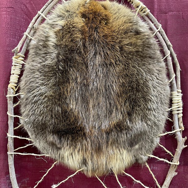 Beaver Pelt - Etsy