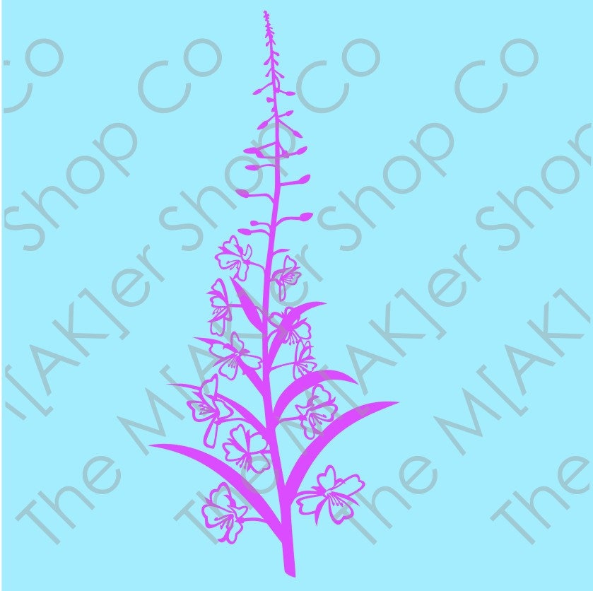 Wildflowers Alaska Fireweed Digital Download - Etsy