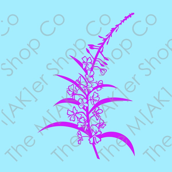 Alaskan Fireweed - Etsy