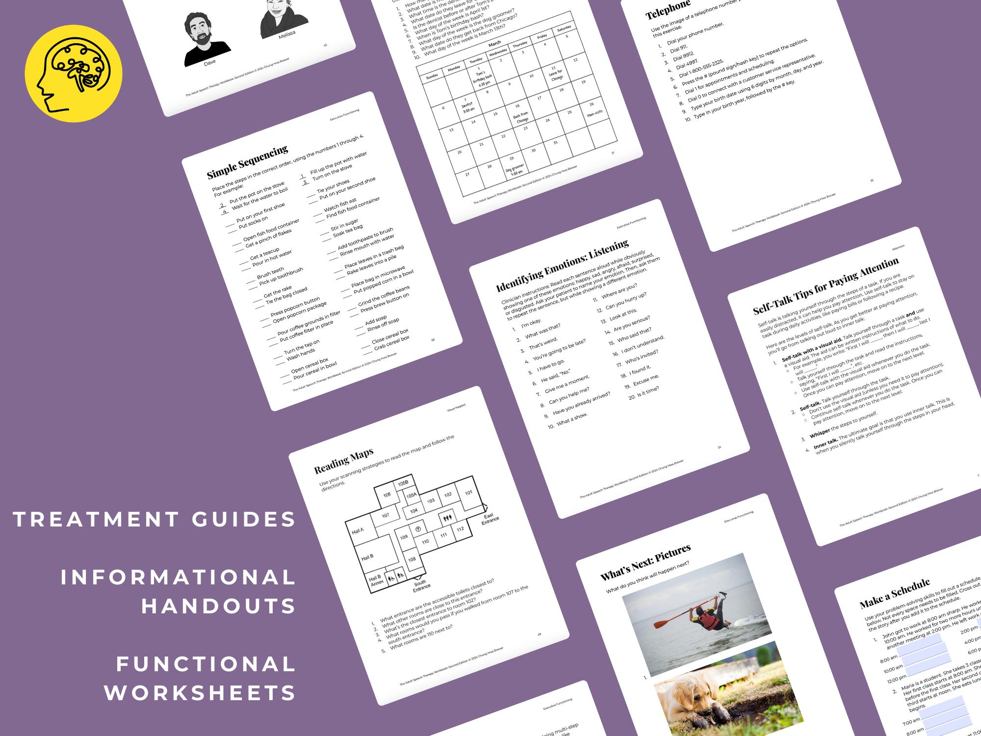 Cognitive Rehabilitation Bundle: Executive Functioning, Attention ...