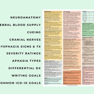 Medical SLP Reference Chart PDF Speech Therapy Study Guide and Cheat ...