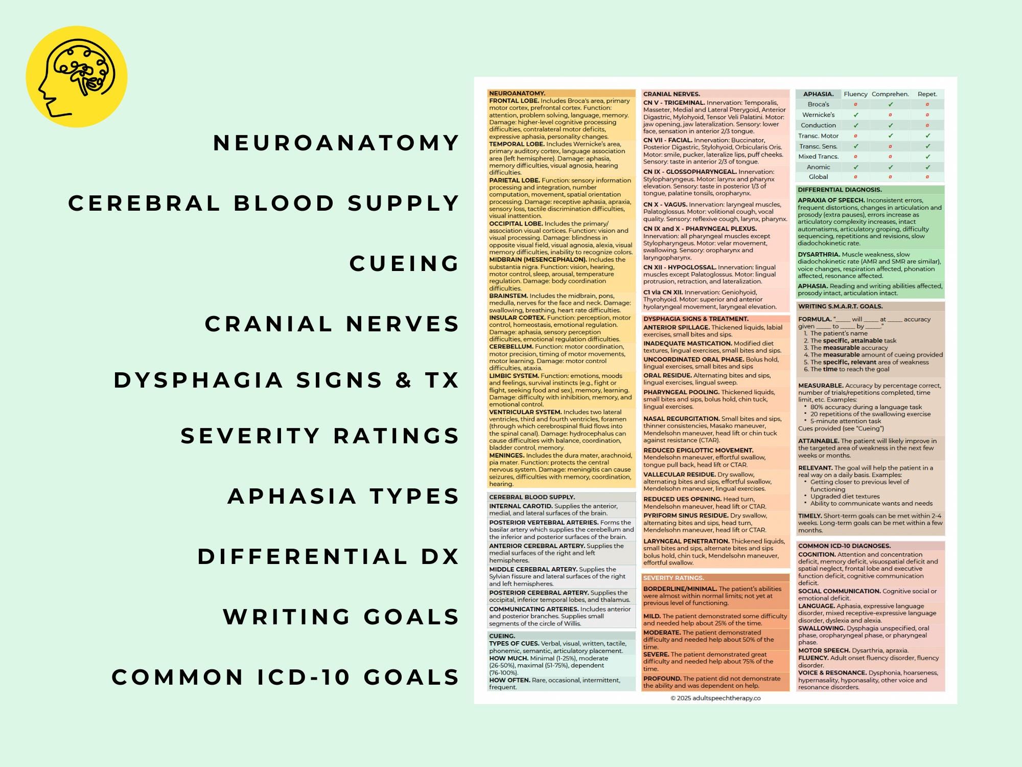 Medical SLP Reference Chart PDF Speech Therapy Study Guide and Cheat ...