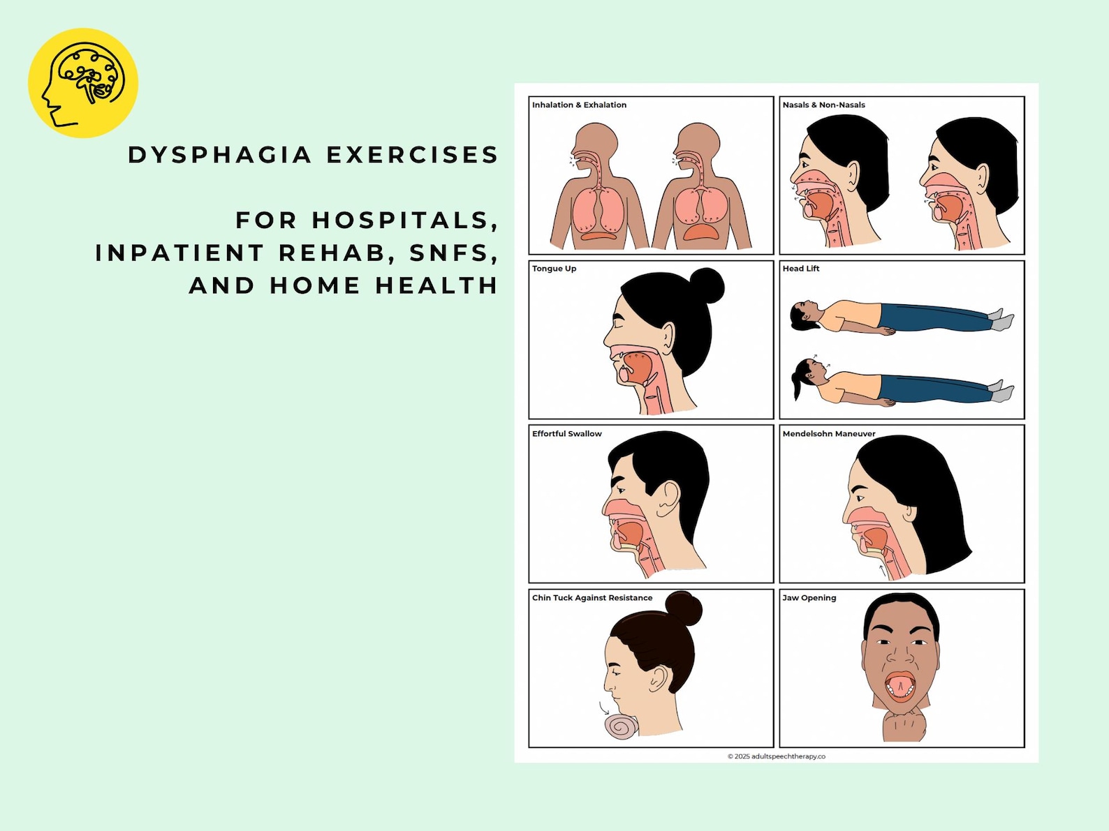 Medical SLP Reference Chart PDF Speech Therapy Study Guide and Cheat ...