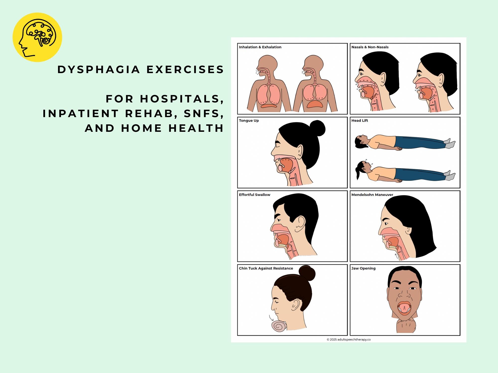 Medical SLP Reference Chart PDF Speech Therapy Study Guide and Cheat ...