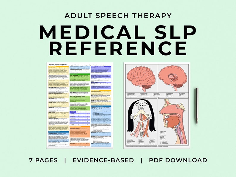 Medical Speech Therapy Reference Chart PDF Adult Speech - Etsy Canada