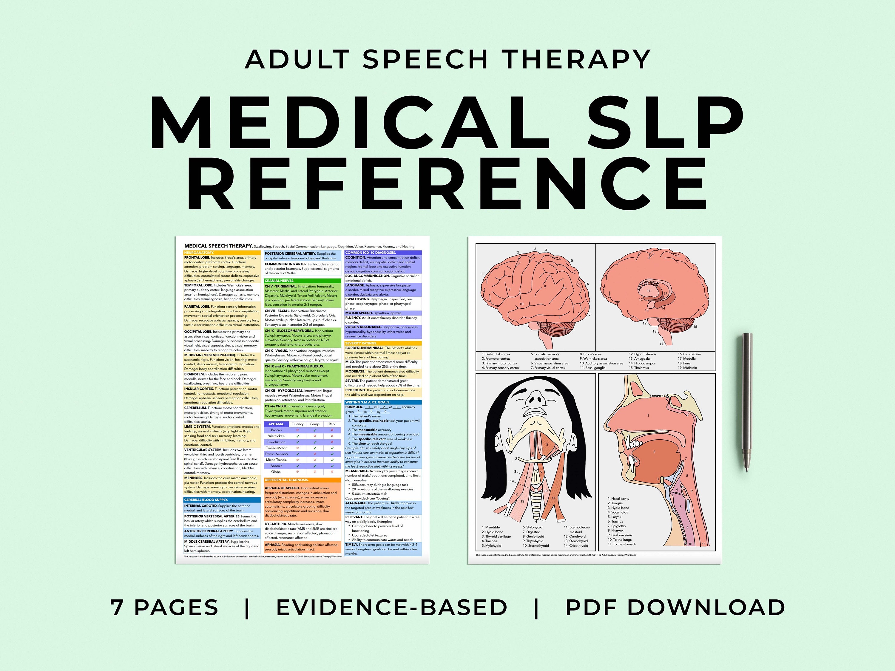 Medical Speech Therapy Reference Chart PDF Adult Speech - Etsy Canada