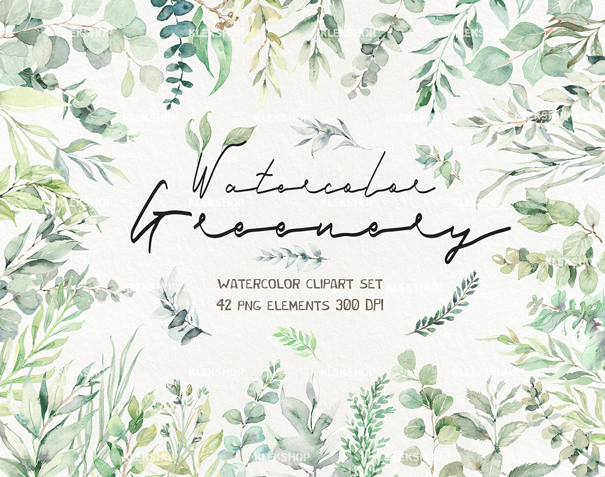 Scrapbooking Floral clipart set Greenery watercolor png Foliage clipart ...
