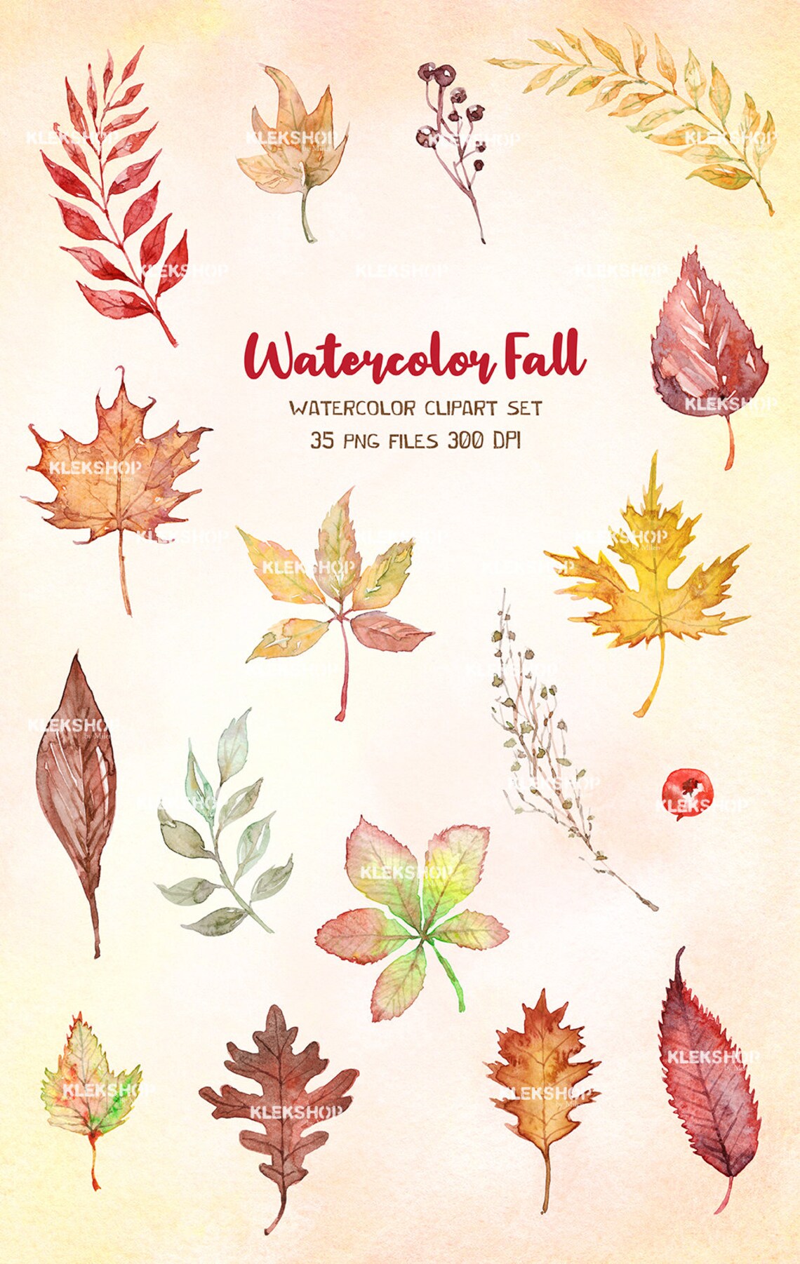 Watercolor Autumn Clipart Watercolor Clipart Fall Clipart | Etsy