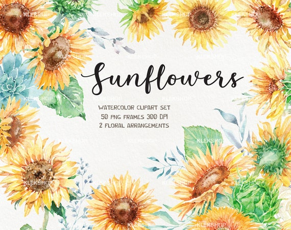 Sunflowers Clipart Watercolor Floral Clip Art Sunflower - Etsy