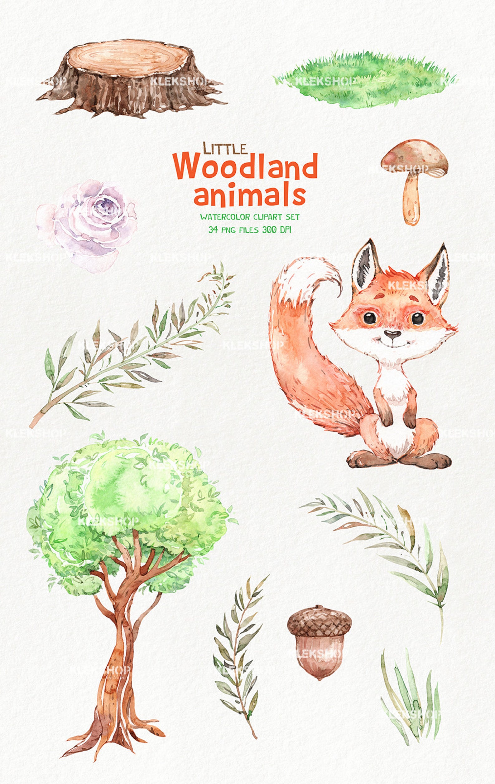 Watercolor Animals Clipart Woodland Animals Clipart | Etsy