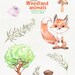 Watercolor Animals Clipart Woodland Animals Clipart - Etsy