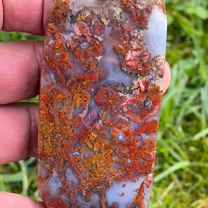 Raw Natural Red Plume Agate Rough Slab. Rare High Quality Multicolour ...
