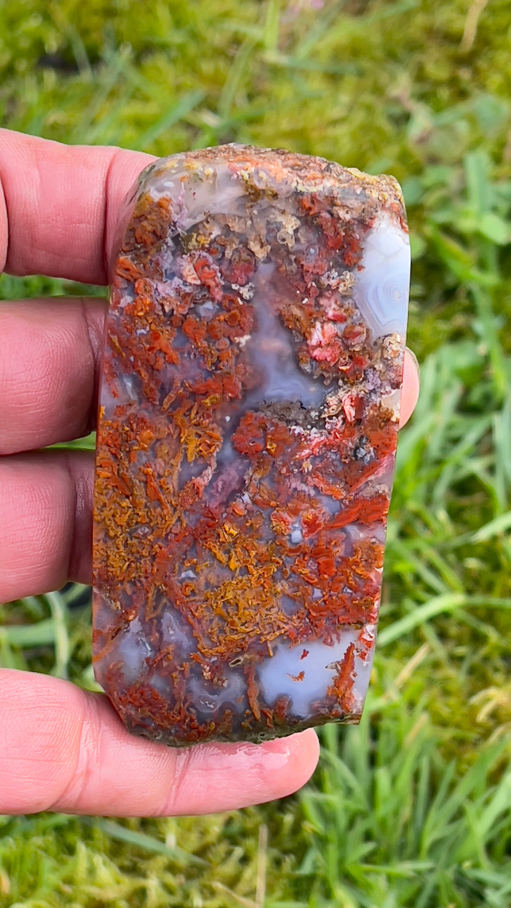 Raw Natural Red Plume Agate Rough Slab. Rare High Quality Multicolour ...