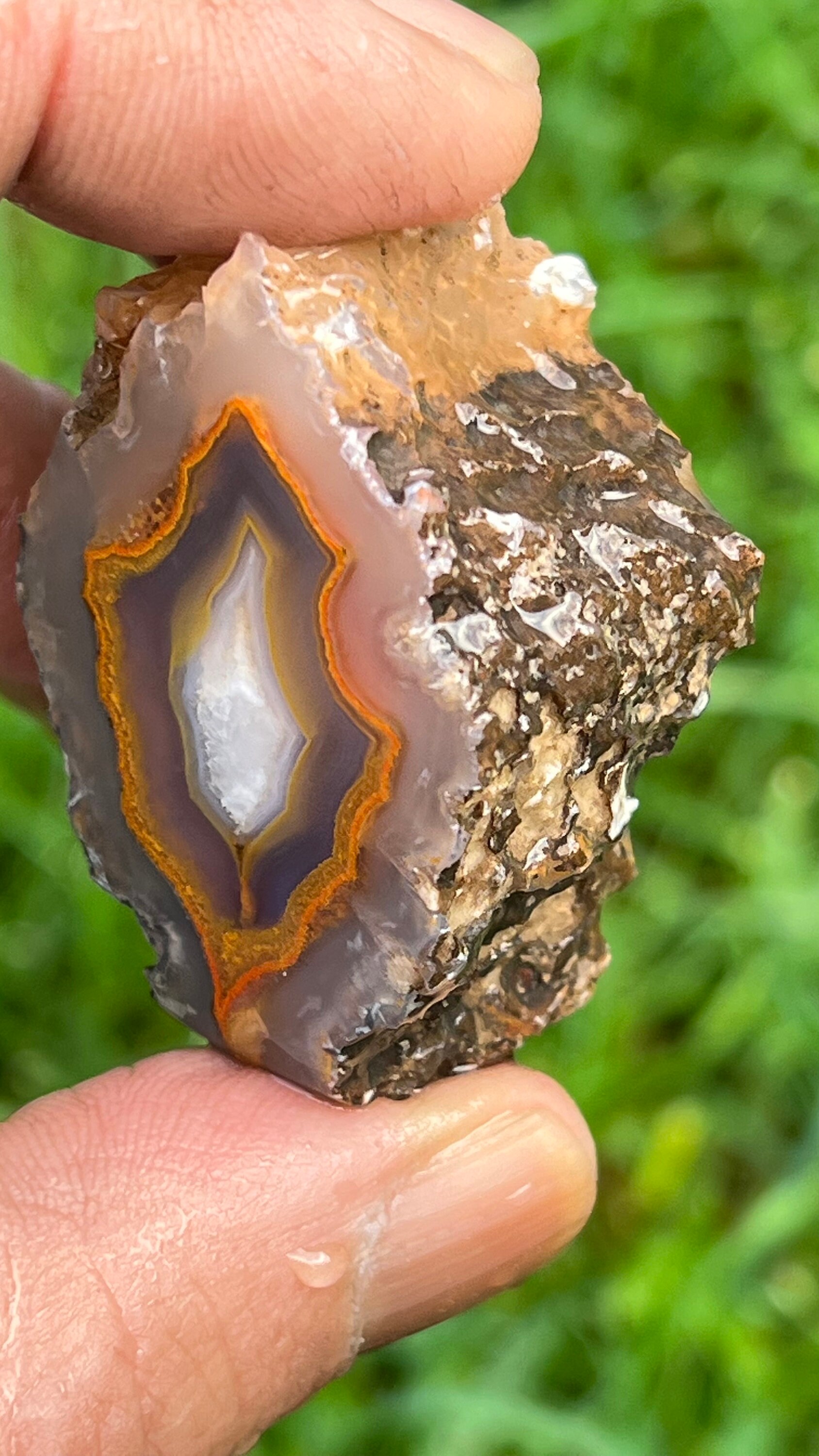Pair of Banded Agate Roughagate Specimen Top Quality - Etsy
