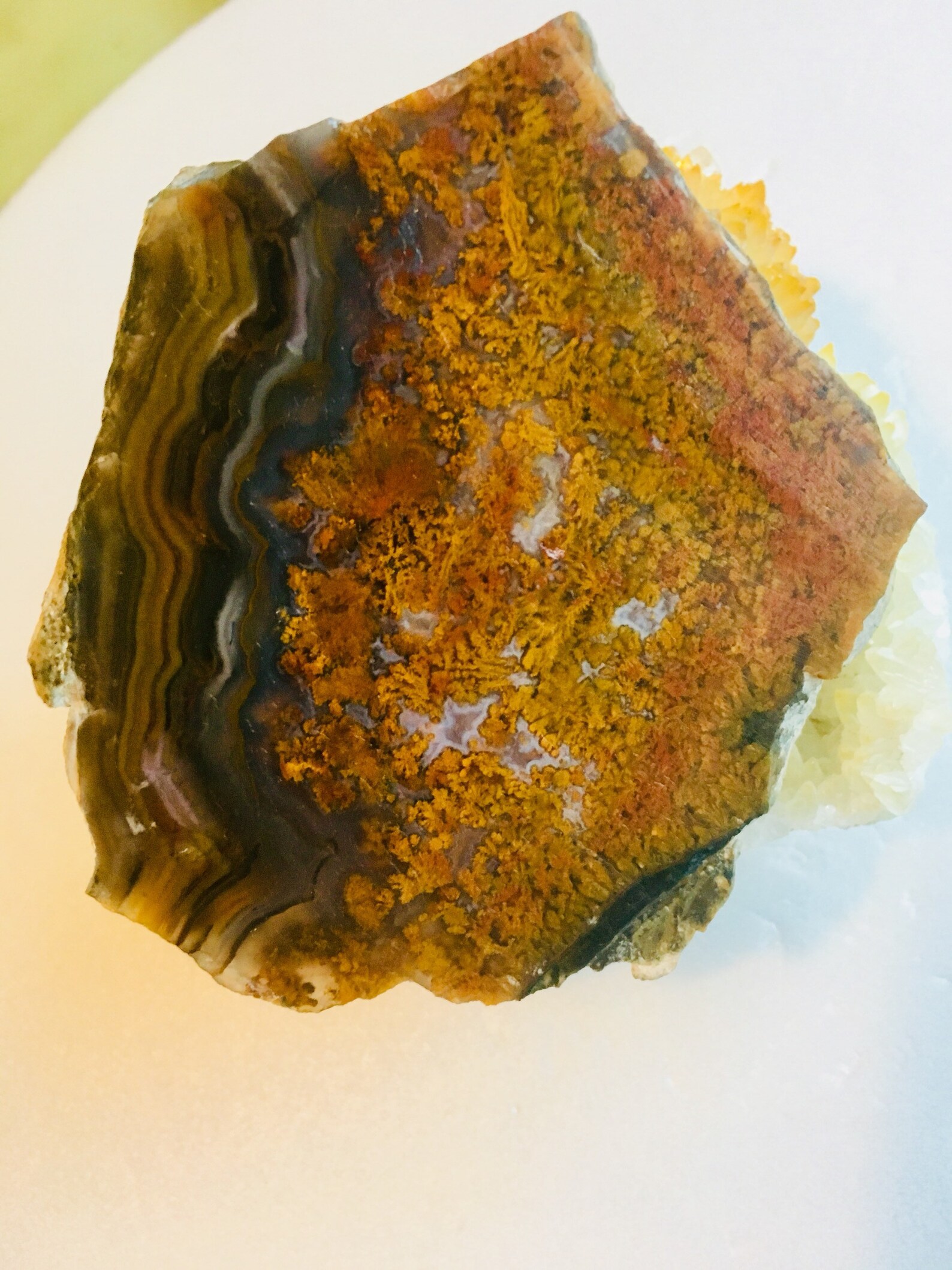 Natural Plume Agate Stone, Agate Specimen - Etsy