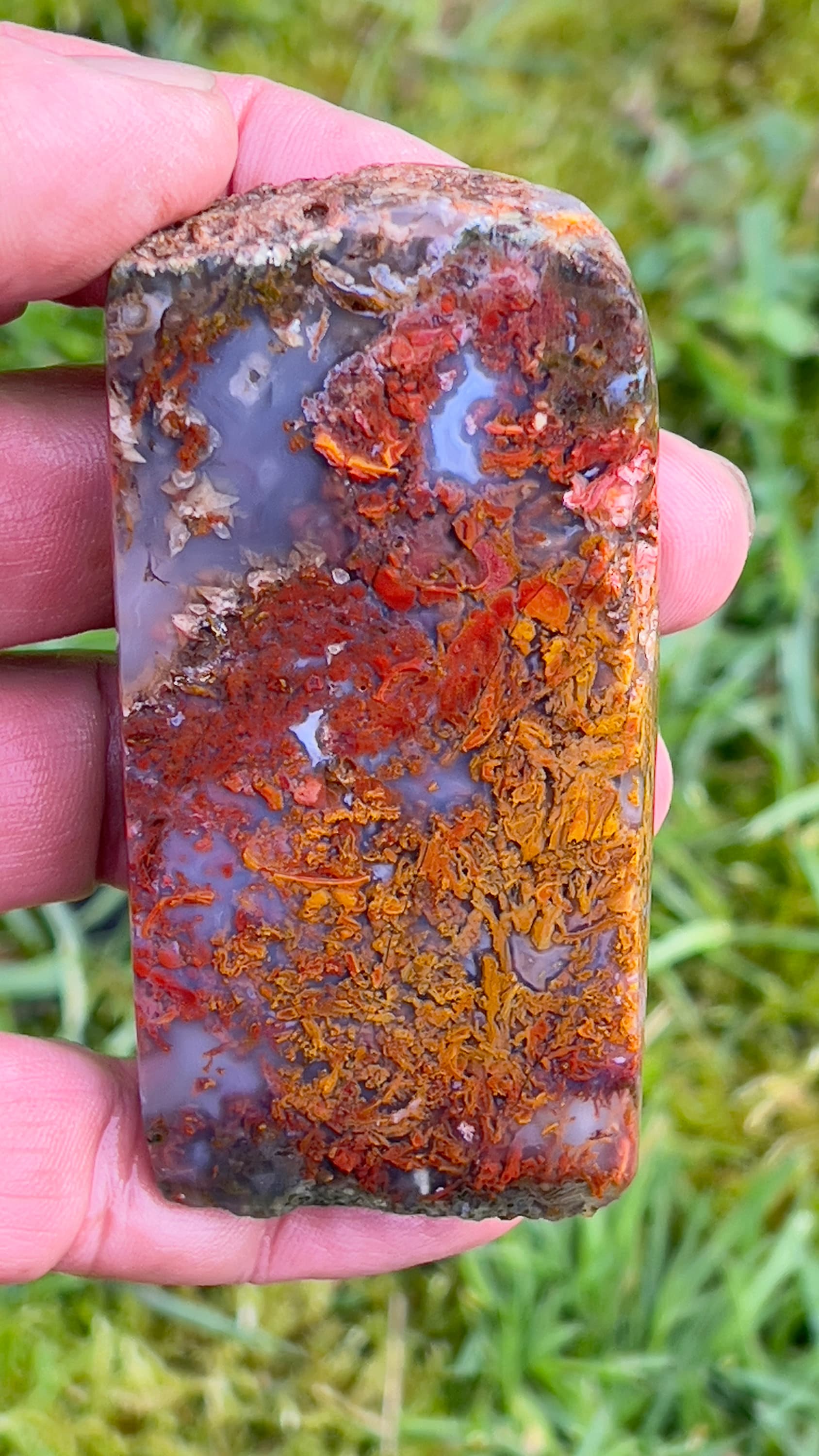 Raw Natural Red Plume Agate Rough Slab. Rare High Quality Multicolour ...