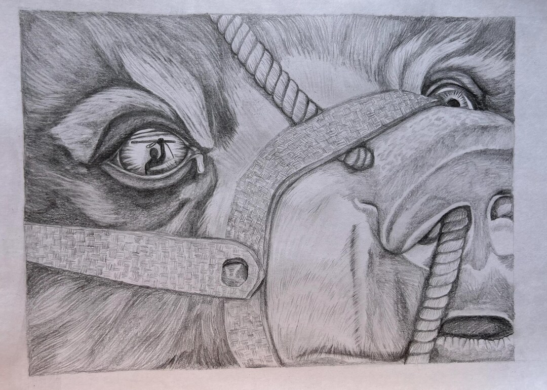 Original Dancing Sloth Bear Drawing - Framed - Etsy