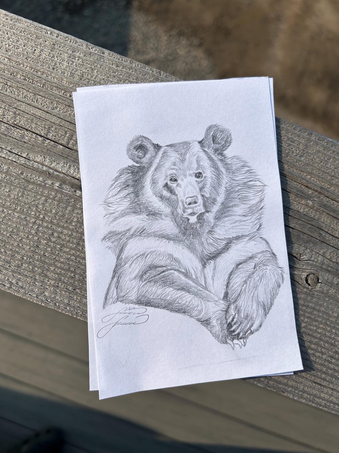 Original Moon Bear Drawing - Framed - Etsy