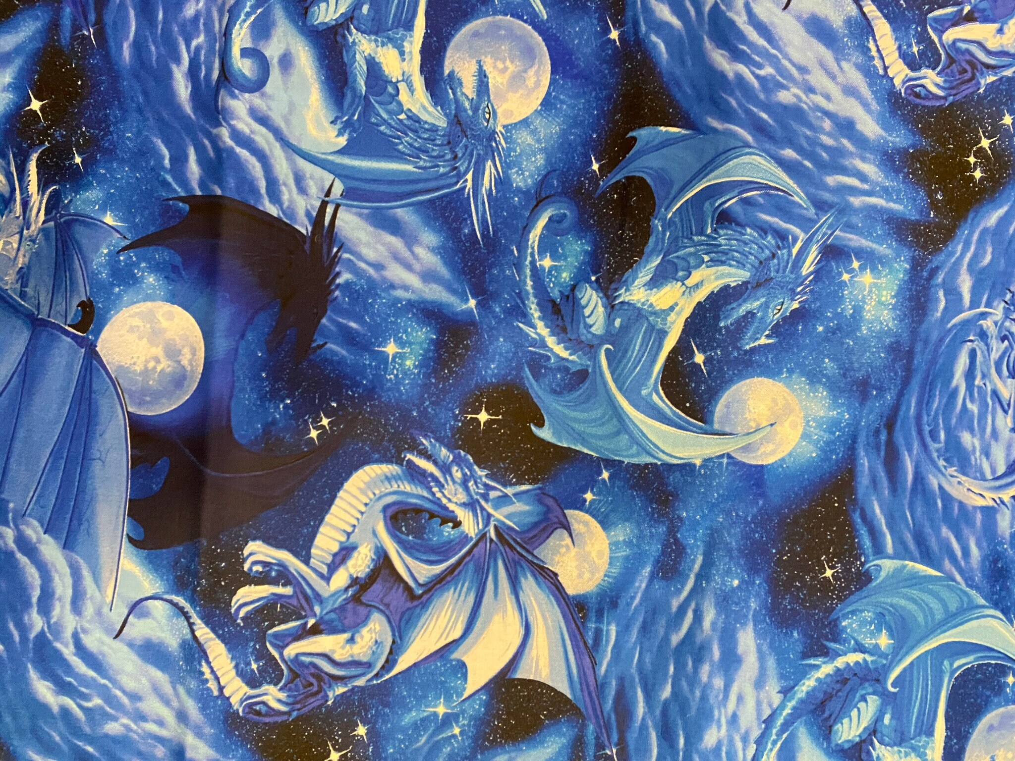 Bearded Dragon Carrier With Matching Strap Variations | Etsy