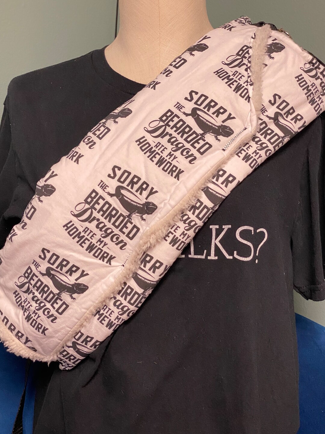 DC4 Bearded Dragon Carrier/lizard Carrier - Etsy UK