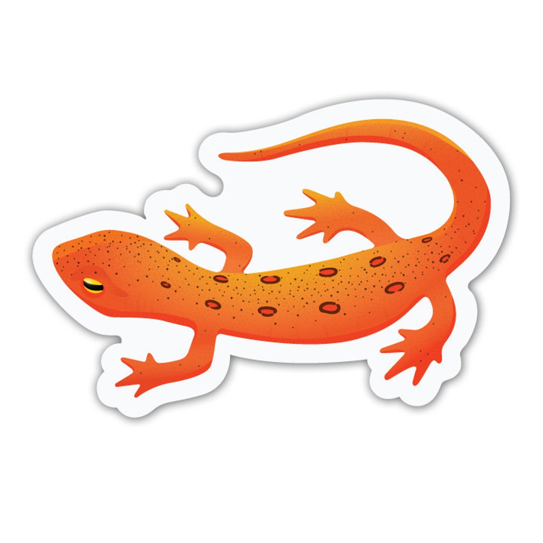 Red Eft Newt Sticker - Etsy