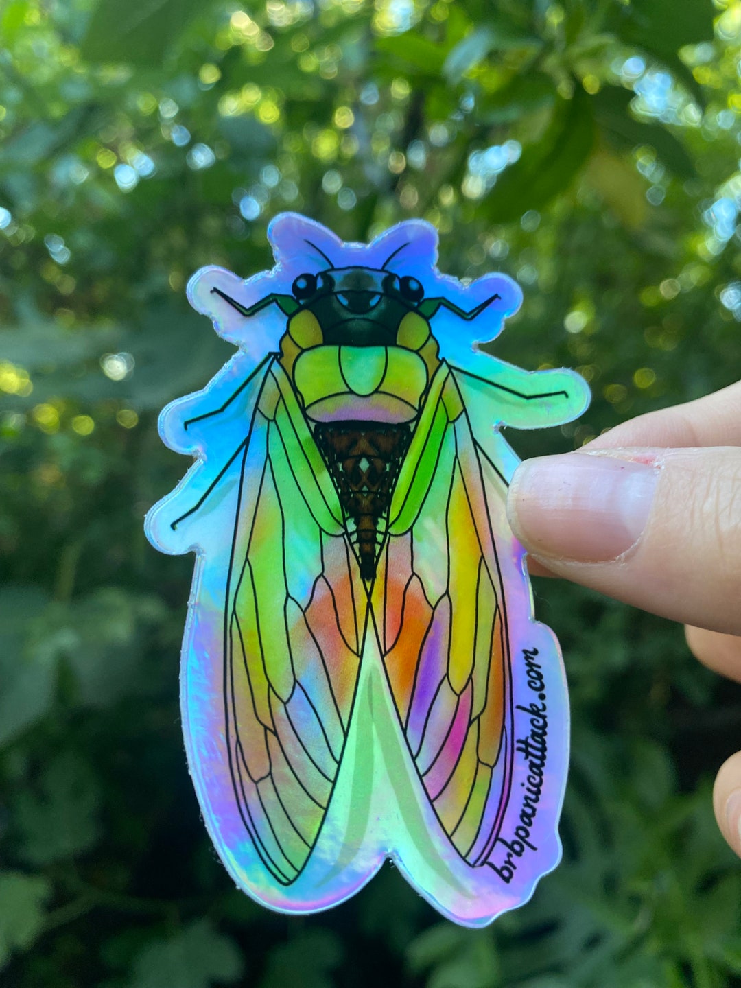 Cicada Holographic Vinyl Sticker - Etsy