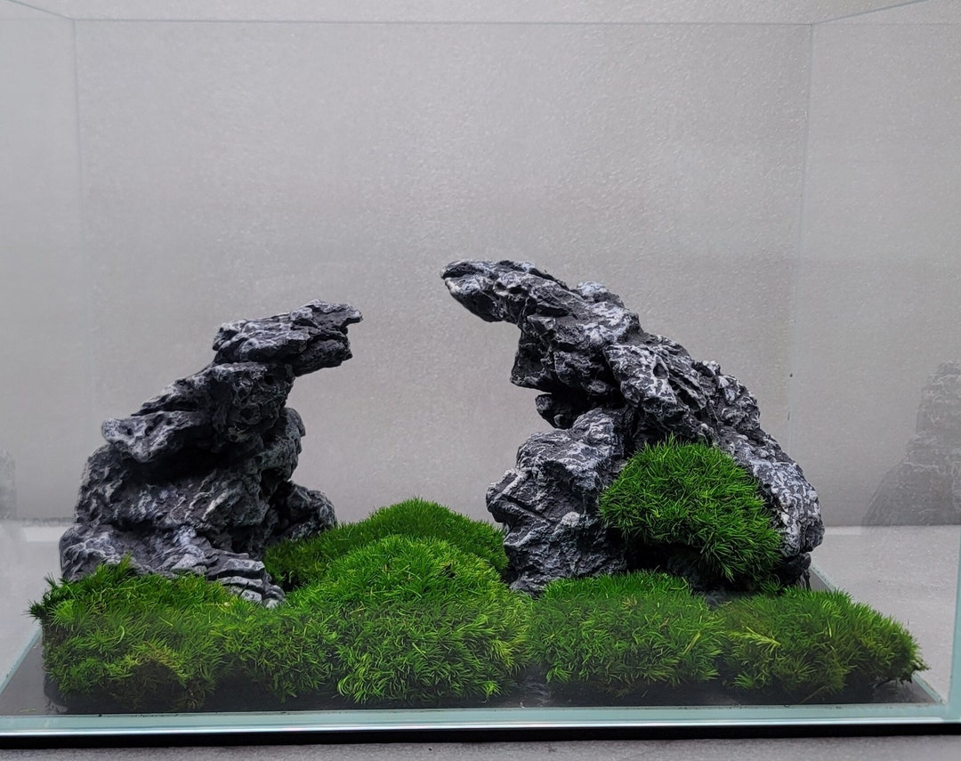 Nano Tank Aquascape Rocky Mountain Aquarium Decor Handmade for Aquatic ...