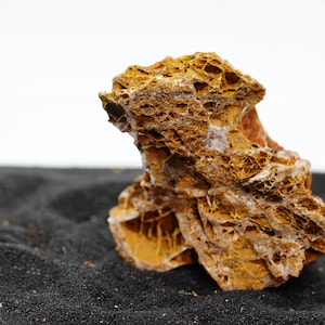 Aquarium Maple Leaf Stone Aquascape Natural Stone - Etsy