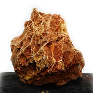 Aquarium Maple Leaf Stone Aquascape Natural Stone - Etsy