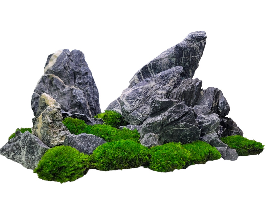 Black Seiryu Stone for Aquarium , Garden, Bonsai – Aquascapers Aquarium ...