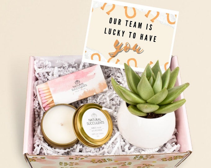 Welcome to the Team Gift Box New Team Member Gift Box Congratulations ...