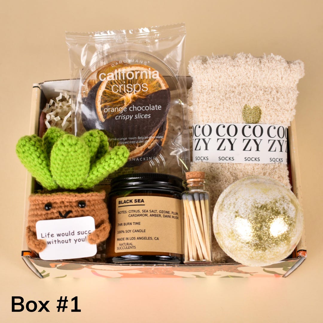 Emotional Support Gift for Best Friend, Birthday Gift for Friend ...