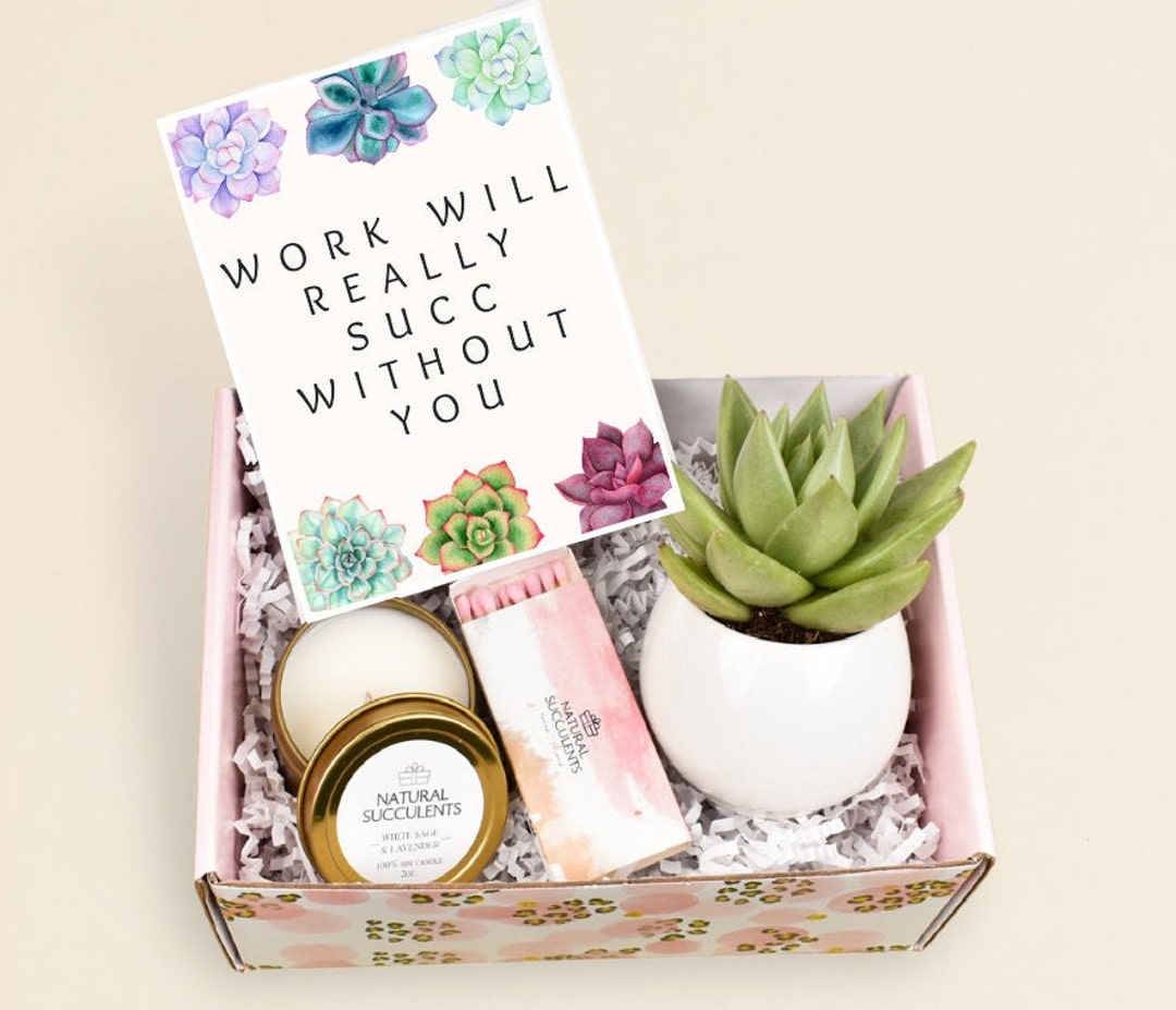 Coworker Gift Box, Work Will Really Succ Without You, Coworker Leaving ...