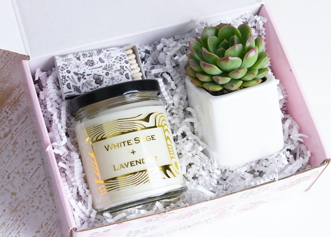 Box of Sunshine Sending You Sunshine Gift Box Succulent Gift - Etsy