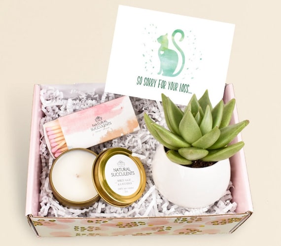 Pet Sympathy Gift Loss of Cat Cat Loss Sympathy Gift - Etsy