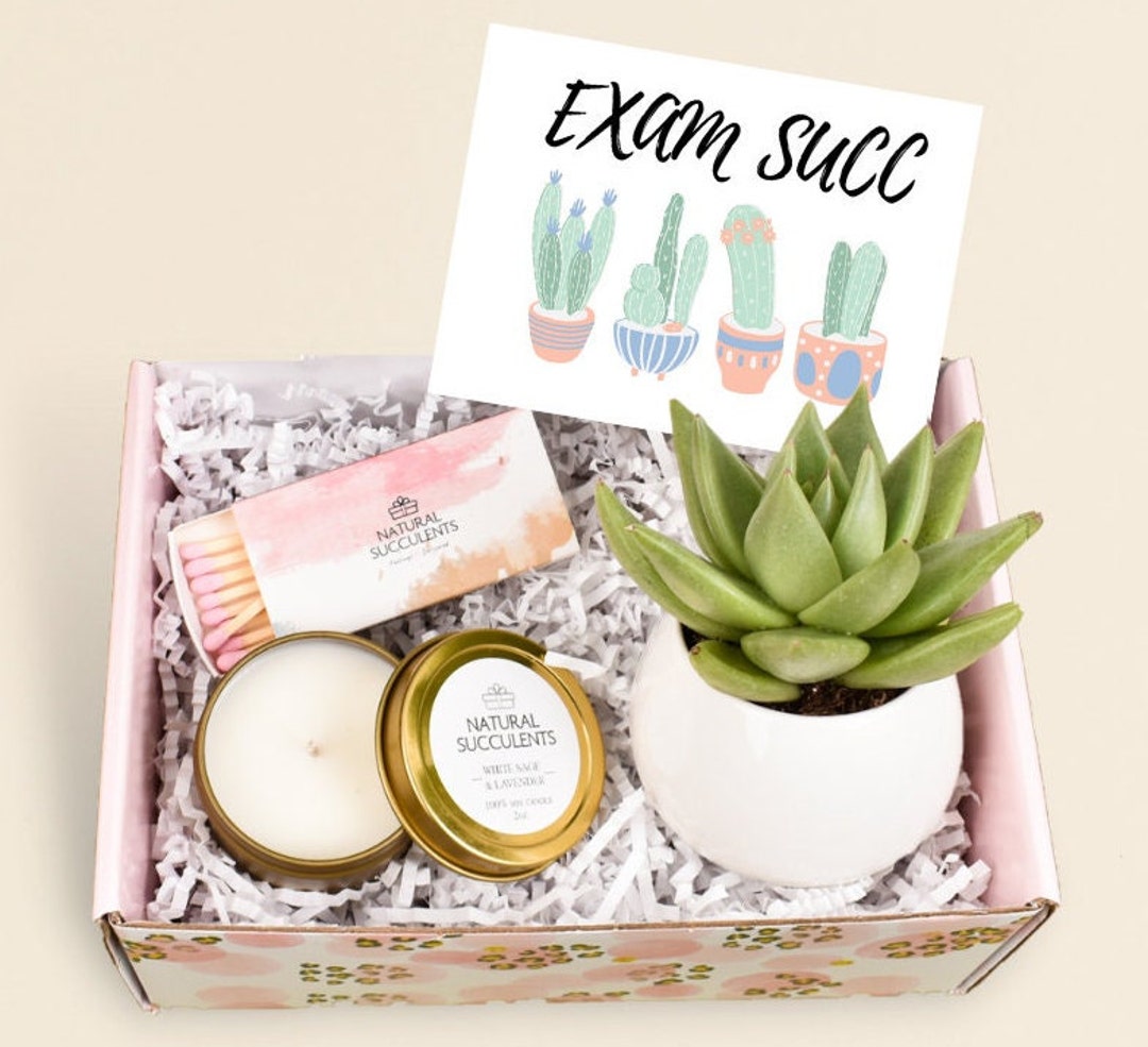 Exam Succs, Finals, College Gift Care Package, Good Luck on Exams ...