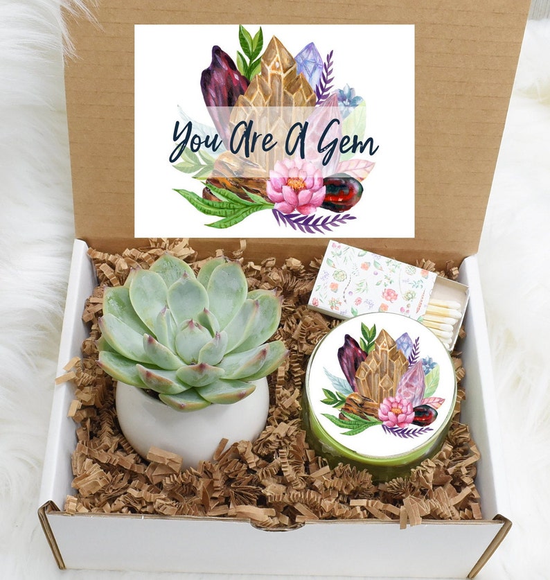 Friendship Succulent Gift Box You Are a Gem Succulent Gift | Etsy