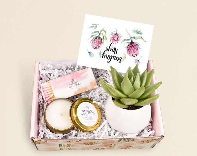 I Miss You Succulent Gift Box, I Miss Your Face, Best Friend Gift Set ...