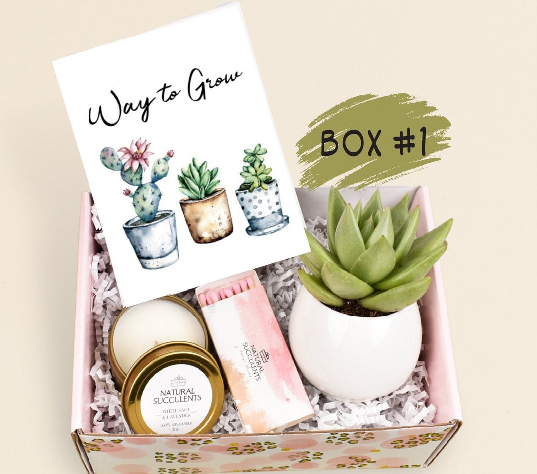 New Job Gift, Congratulations Gift, Way to Grow, Job Promotion Gift, Co ...