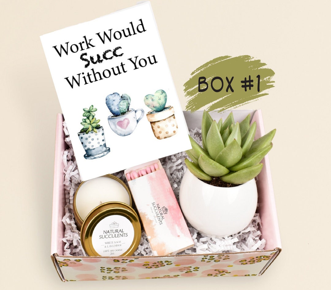Corporate Gift - Work Would Succ Without You - Custom Coworker Gift ...