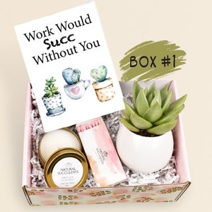 Group Gifts - 60+ Gift Ideas for 2024