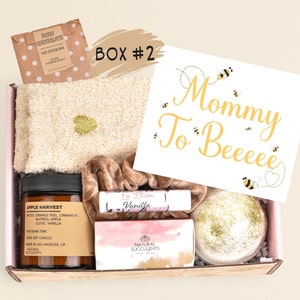 Pregnancy Gift Pregnancy Congratulations Succulent Gift Future Mom Gift ...