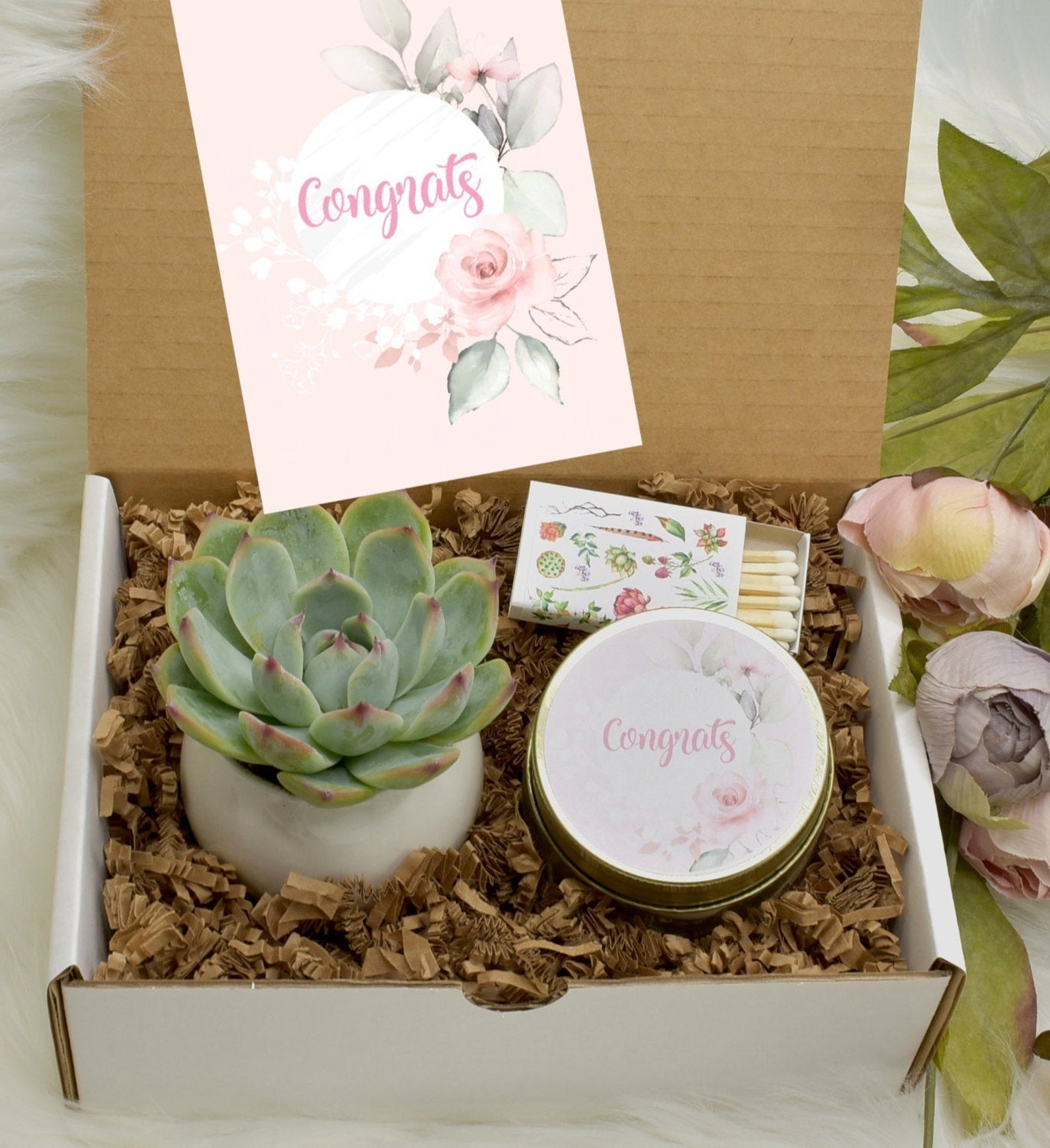 Congratulations Congratulations Gift Idea Live Succulent | Etsy
