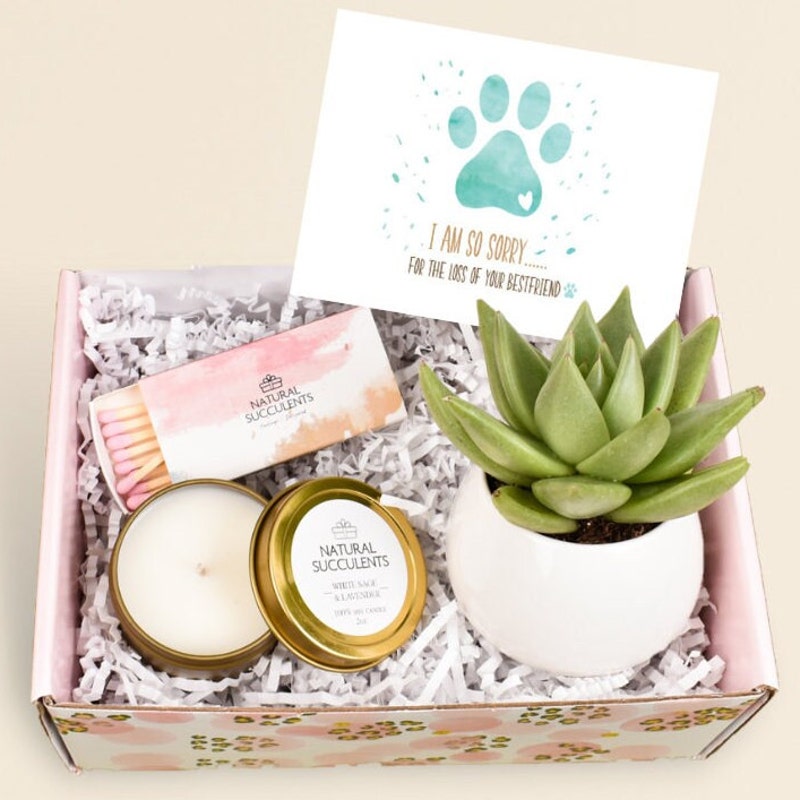 Dog Sympathy Gift - 60+ Gift Ideas for 2024