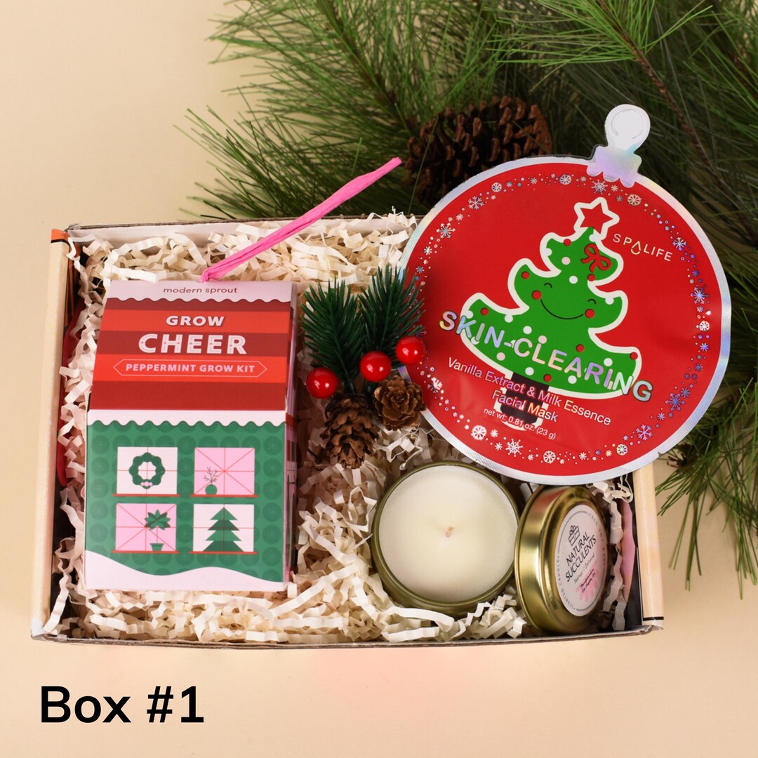 Holiday Care Package for Friend, Holiday Gift Set, Xmas Gift Box ...