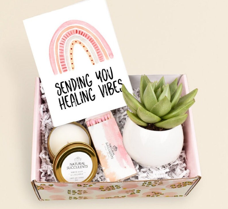 Healing Vibes Succulent Gift Box Care Package for Her Get - Etsy