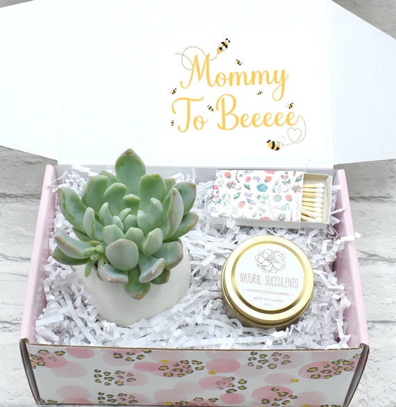 Pregnancy gift Pregnancy Congratulations Succulent Gift | Etsy