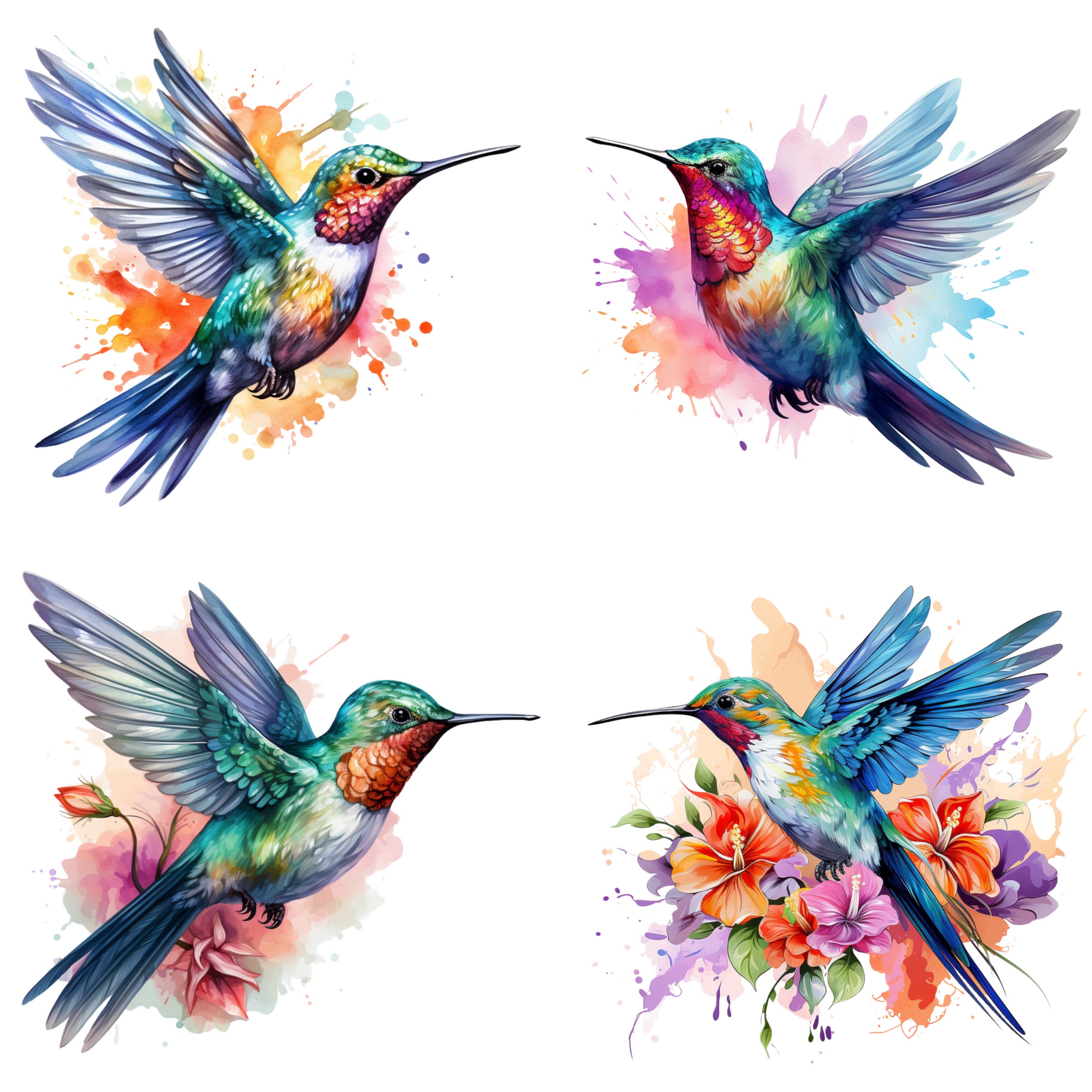 Watercolor Hummingbird Clipart Digital Illustration Paper Crafting ...