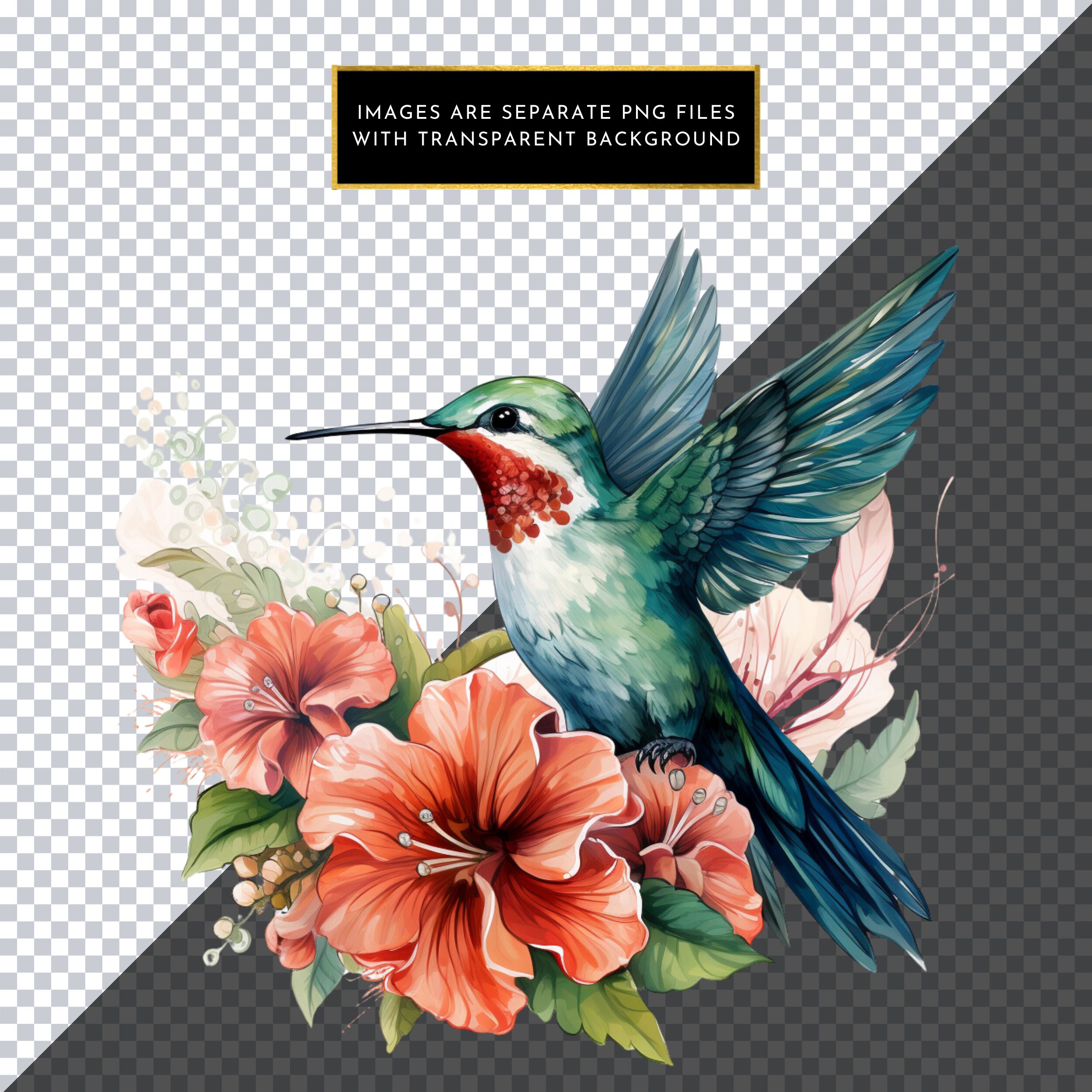 Watercolor Hummingbird Clipart Digital Illustration Paper Crafting ...