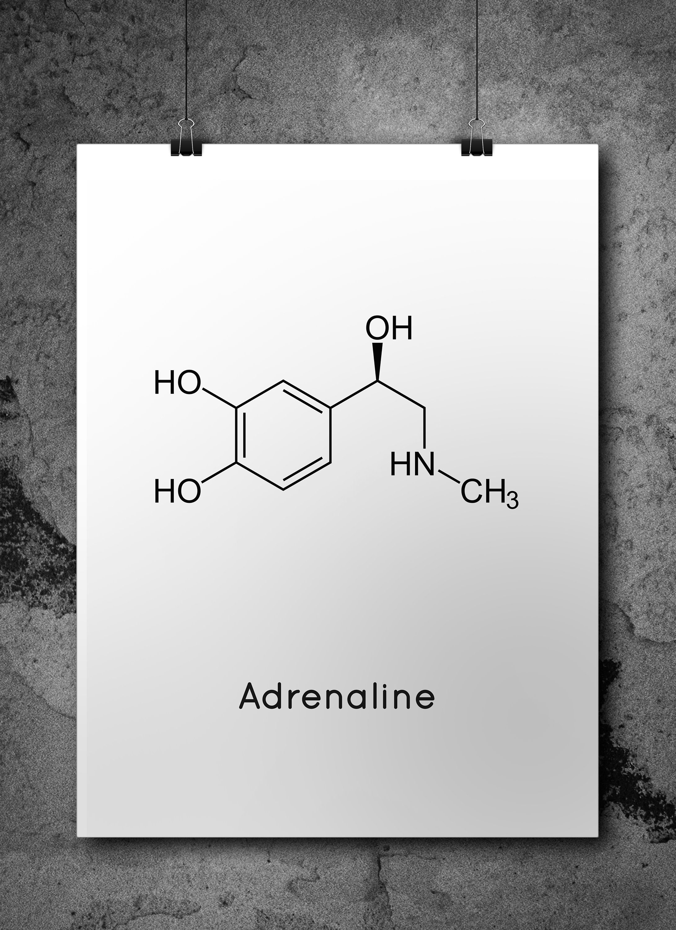 Instant Download Adrenaline Molecule Printable Wall Art Downloadable ...